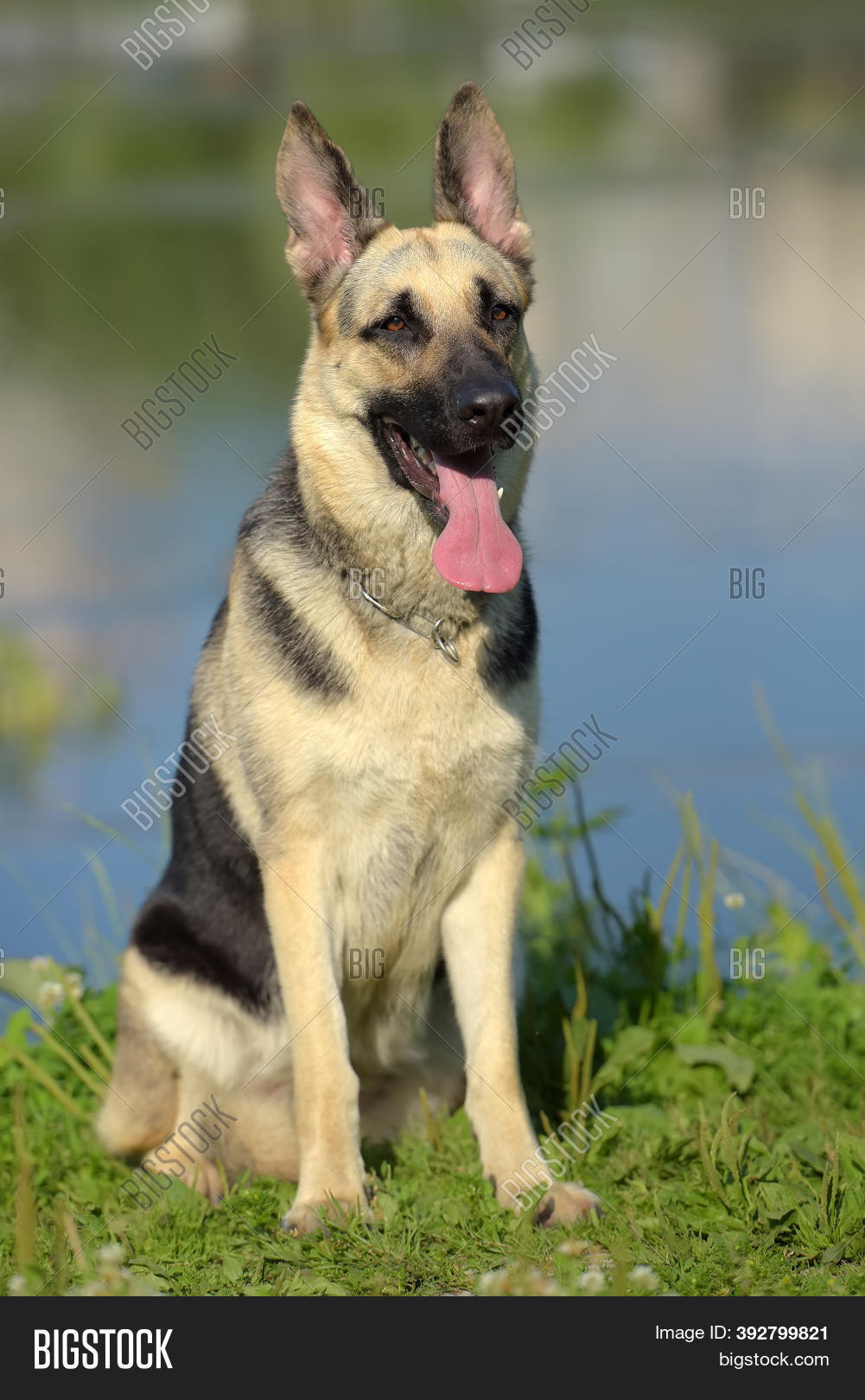 Eastern European Image & Photo (Free Trial) | Bigstock