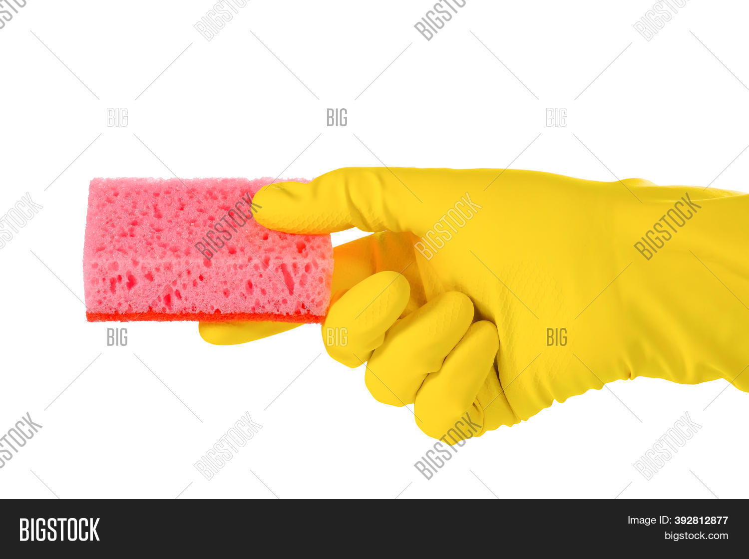 Sponge Washing Dishes Image & Photo (Free Trial) | Bigstock
