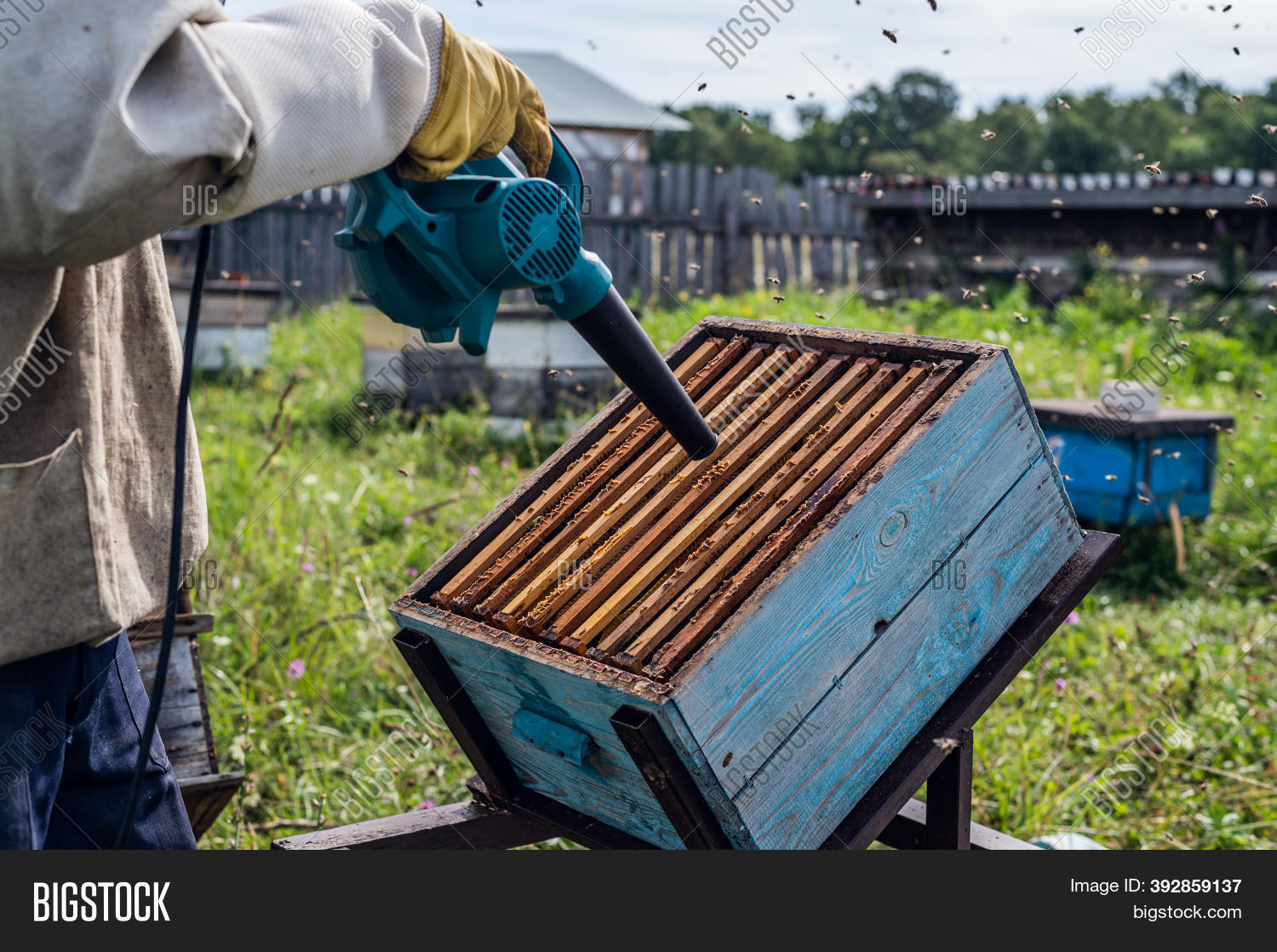 Beekeeper Using Blower Image & Photo (Free Trial) | Bigstock