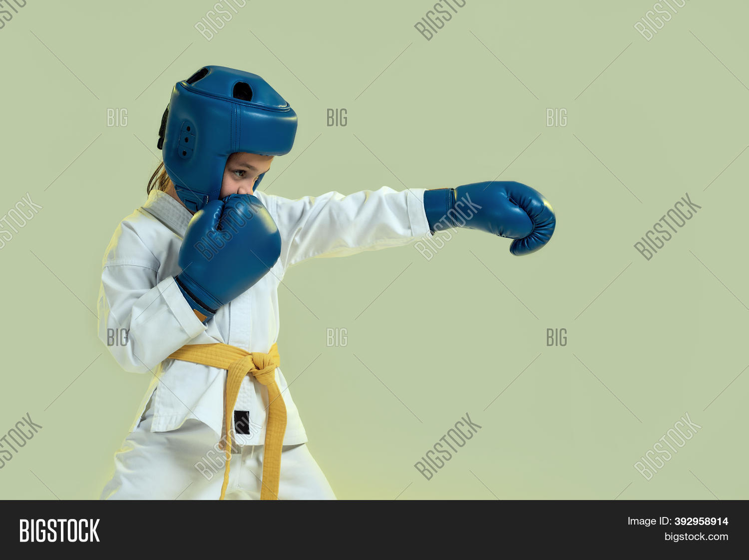 Portrait Little Karate Image & Photo (Free Trial) | Bigstock