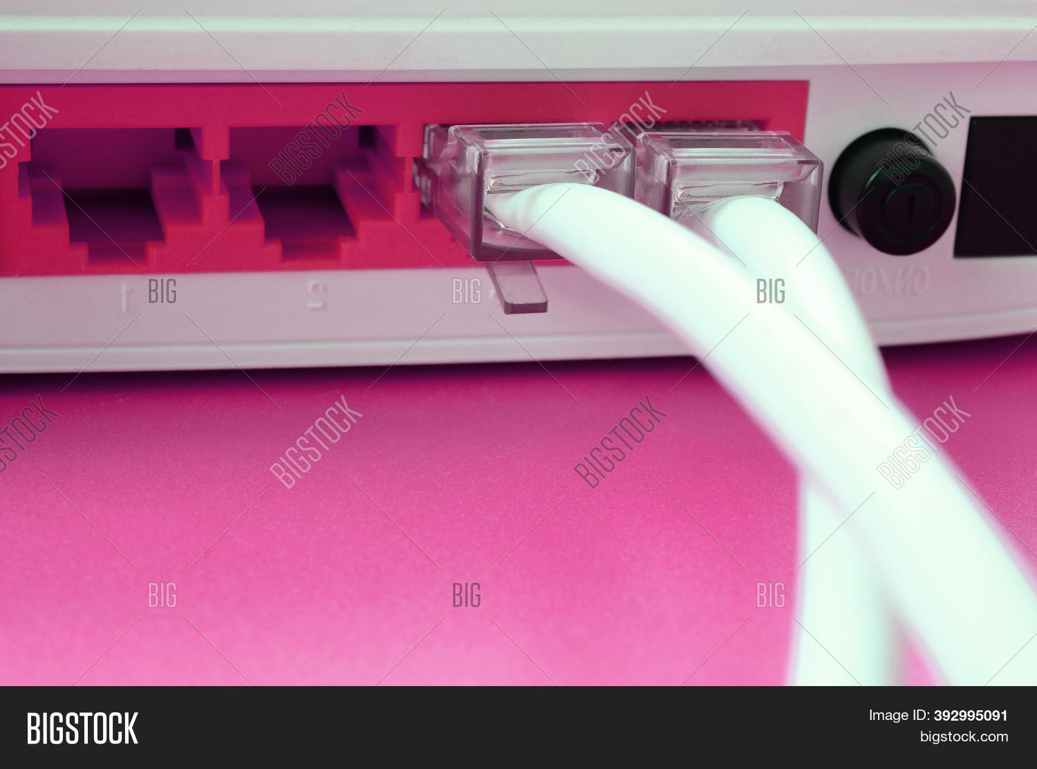 Internet Cable Plugs Image & Photo (Free Trial) | Bigstock