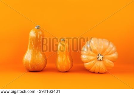 Three Butternut Image & Photo (Free Trial) | Bigstock