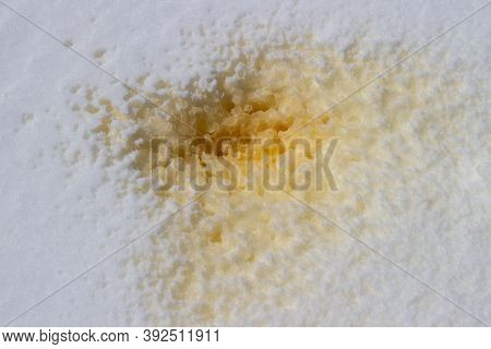 Yellow Urine Fresh Image & Photo (Free Trial) | Bigstock