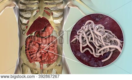 ภาพและภาพถ่าย (ทดลองใช้ฟรี) | Bigstock
