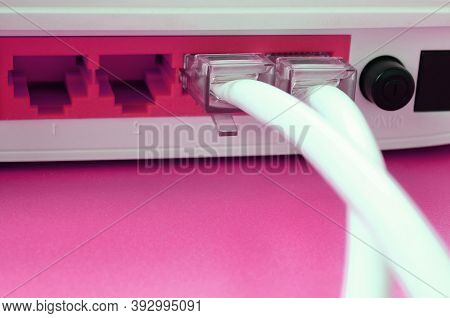 Internet Cable Plugs Image & Photo (Free Trial) | Bigstock