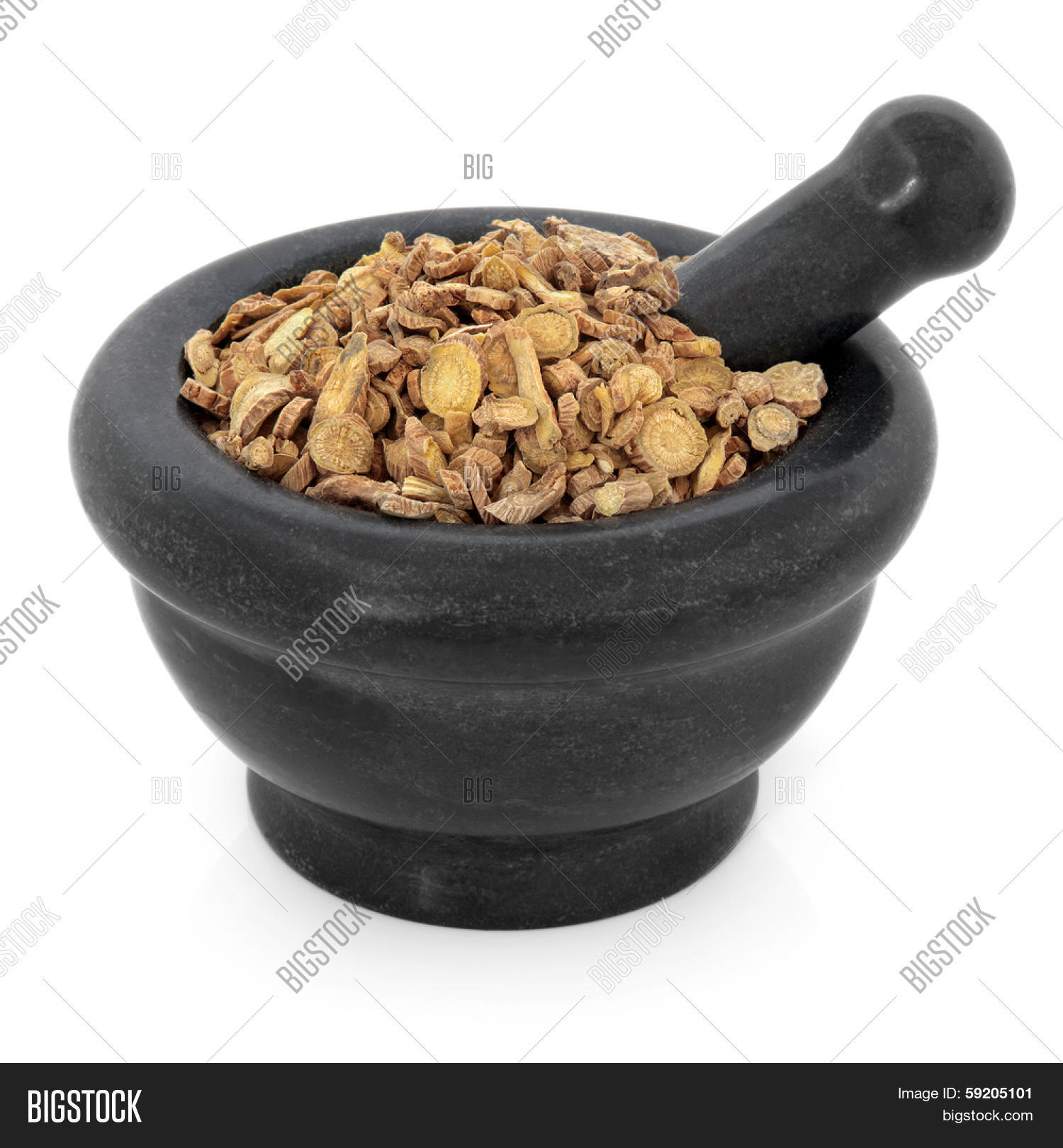 Scutellaria Root Image & Photo (Free Trial) | Bigstock