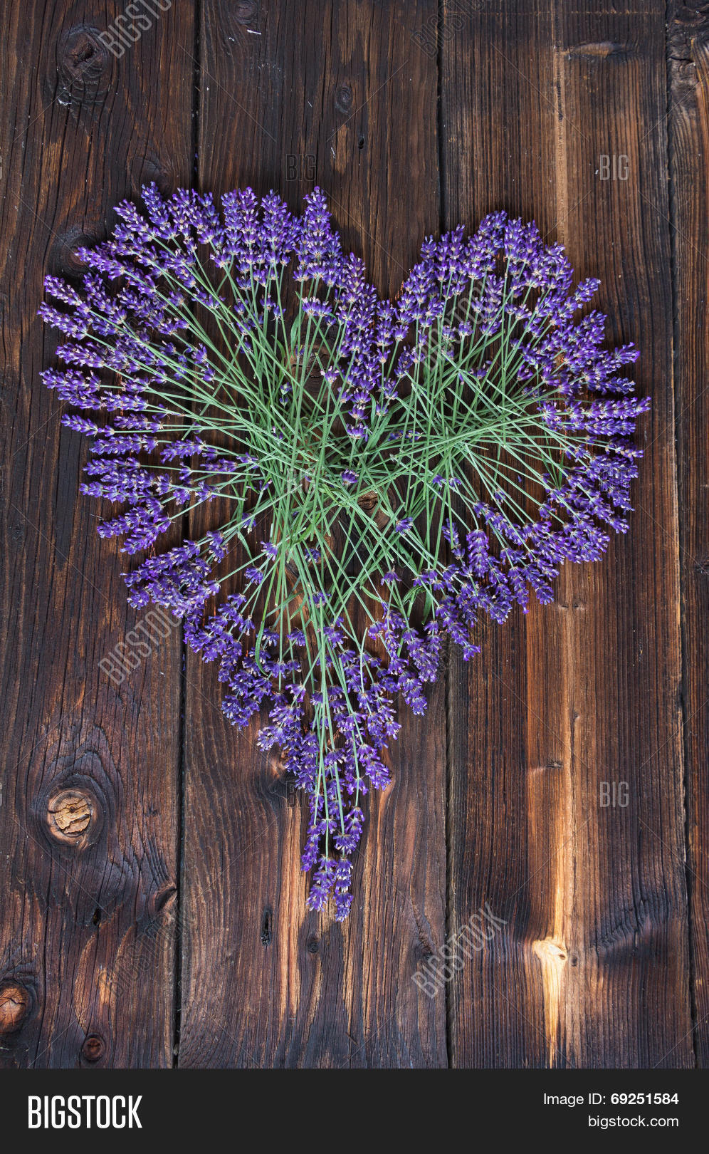 LAvender Heart On Dark Image & Photo (Free Trial) | Bigstock