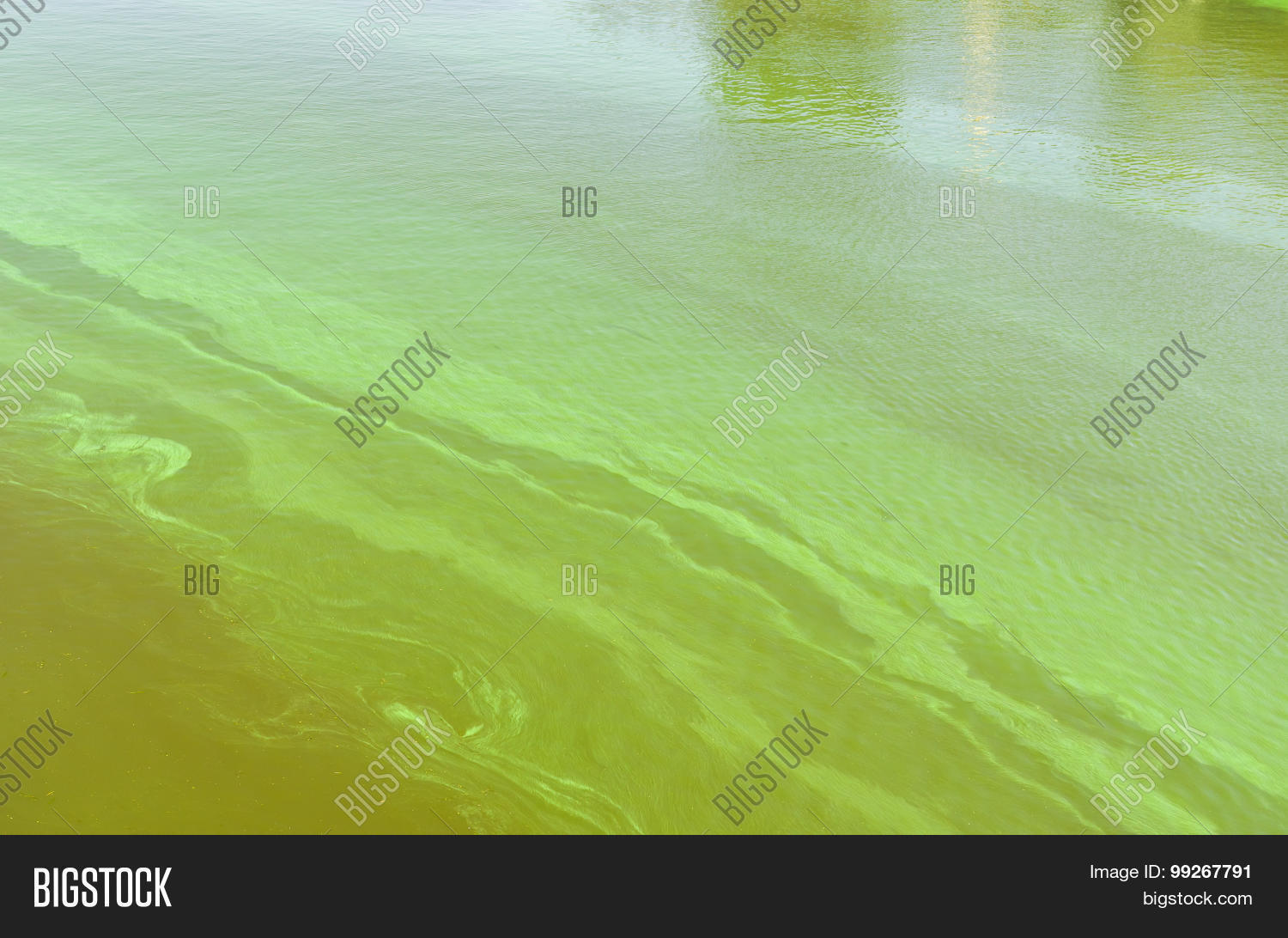 Big Ukrainian River Image & Photo (Free Trial) | Bigstock