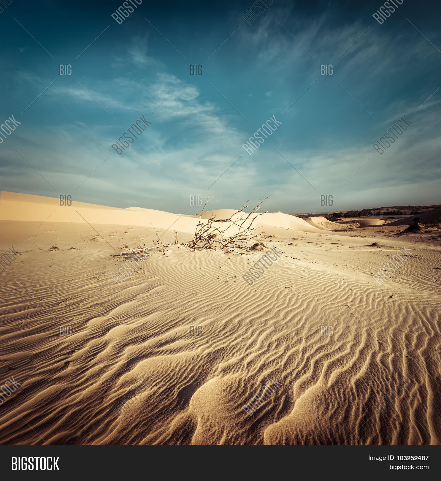 Desert Landscape Dead Image & Photo (Free Trial) | Bigstock