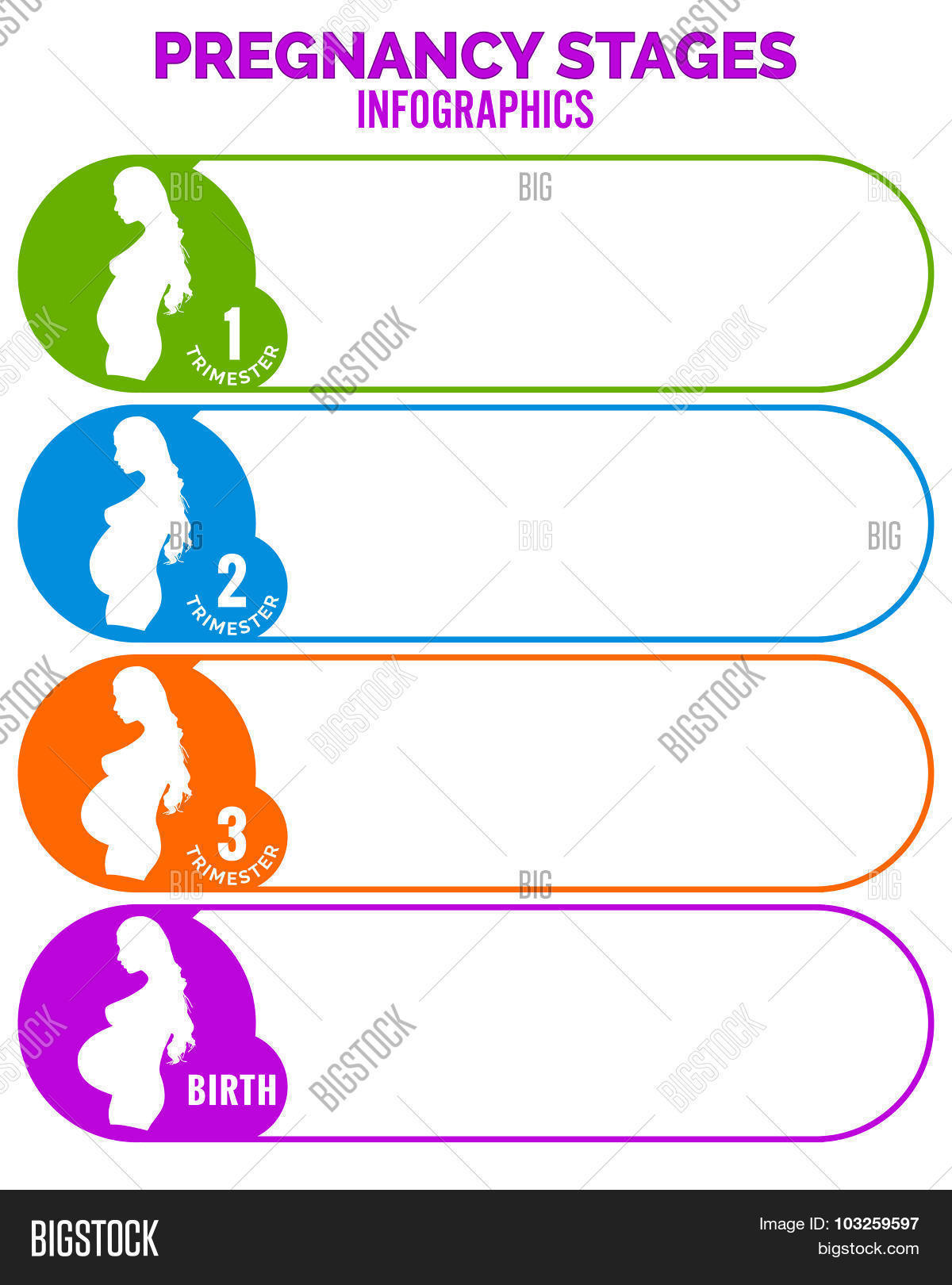 Pregnancy Stages. Vector & Photo (Free Trial) | Bigstock