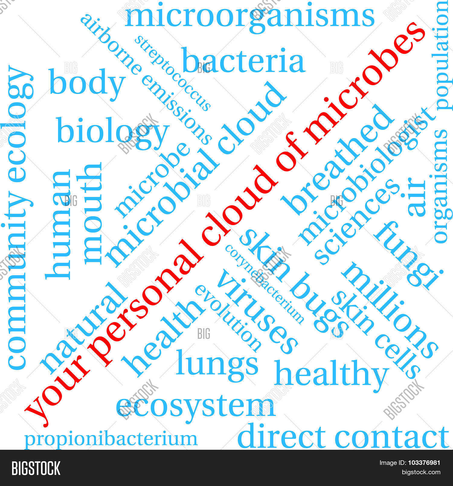 Your Personal Cloud Vector & Photo (Free Trial) | Bigstock