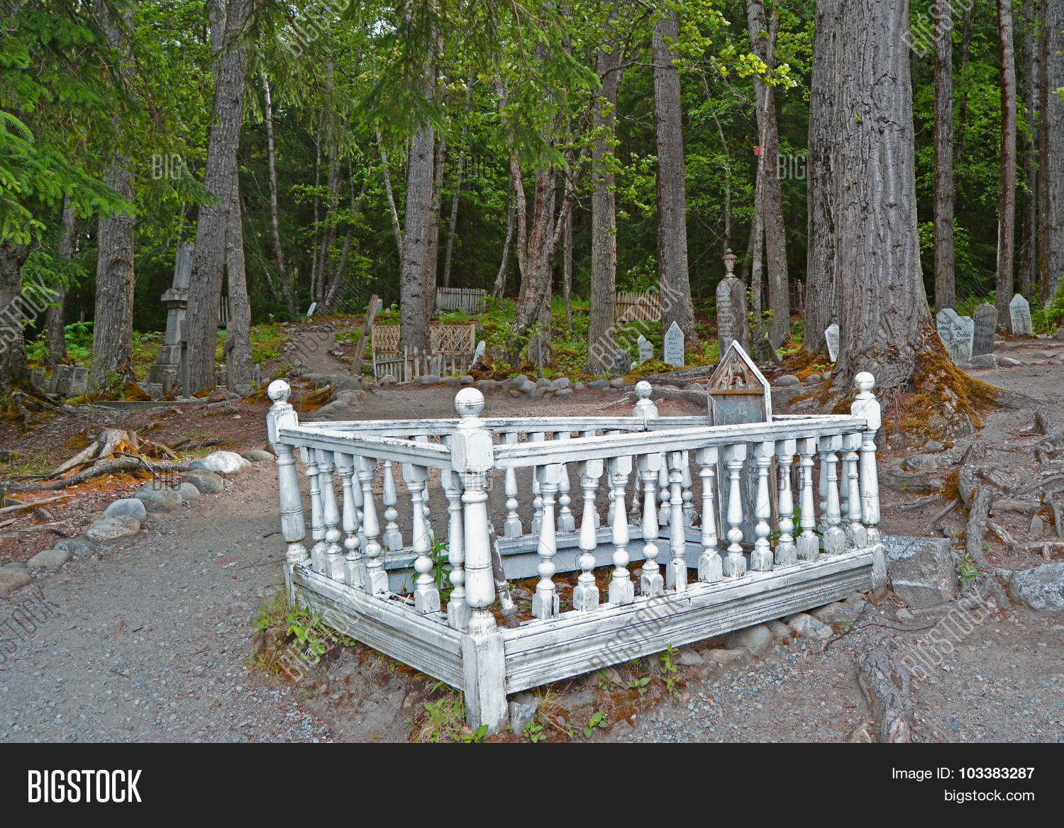 Gold Rush Historic Image & Photo (Free Trial) | Bigstock