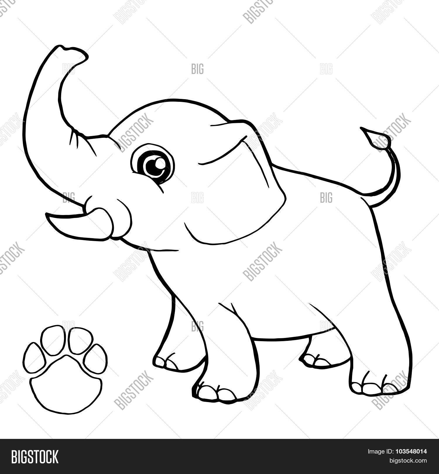 Paw Print Elephant Vector & Photo (Free Trial) | Bigstock