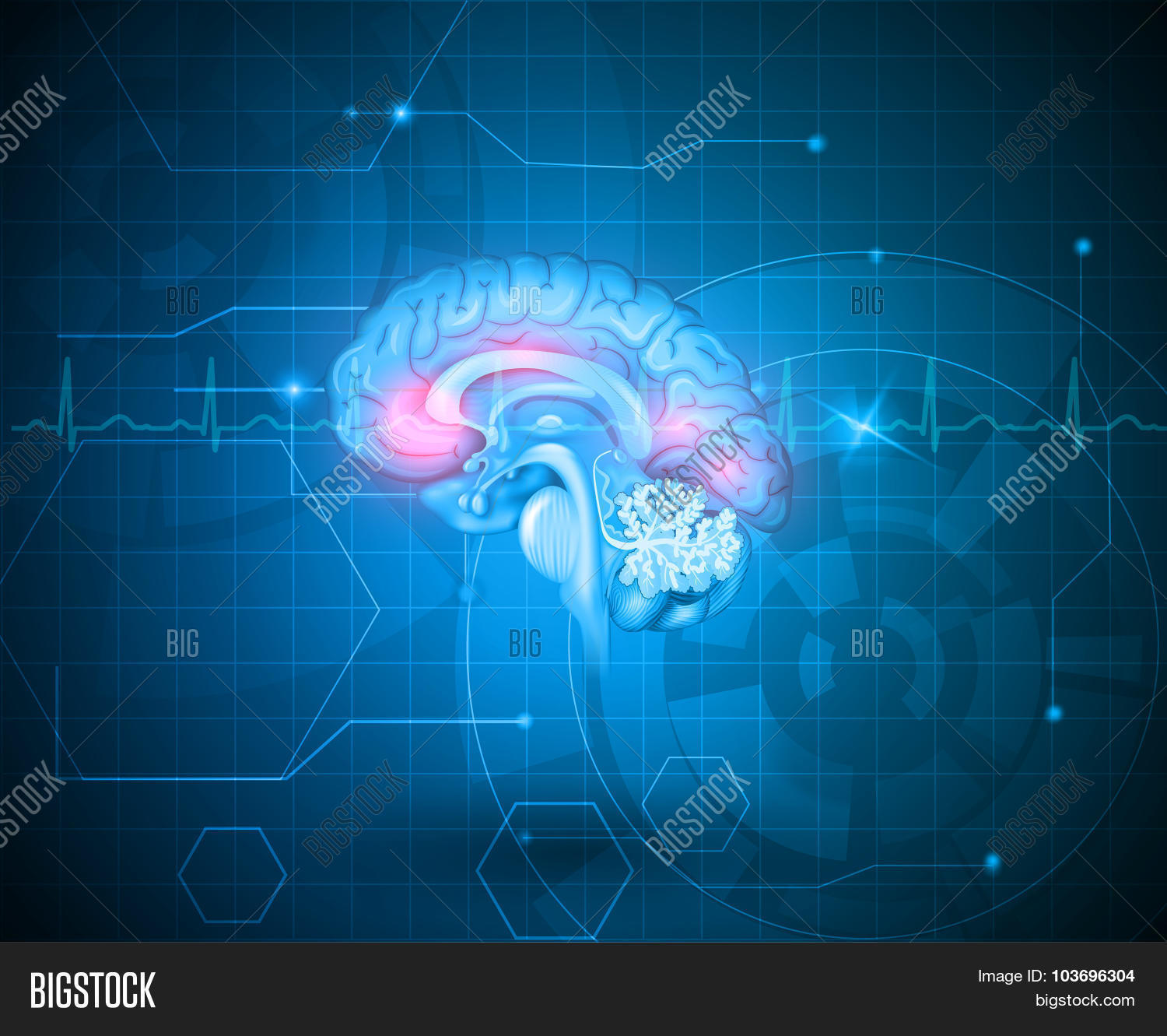 Human Brain Treatment Vector & Photo (Free Trial) | Bigstock