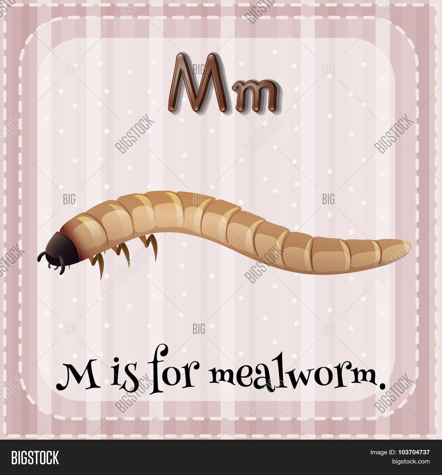 Flashcard Letter M Vector & Photo (Free Trial) | Bigstock