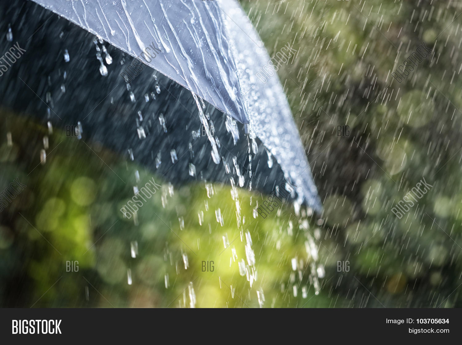 Rain Drops Falling Image & Photo (Free Trial) | Bigstock