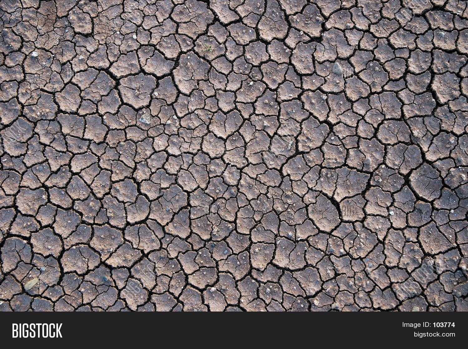 Dry Land Image & Photo (Free Trial) | Bigstock