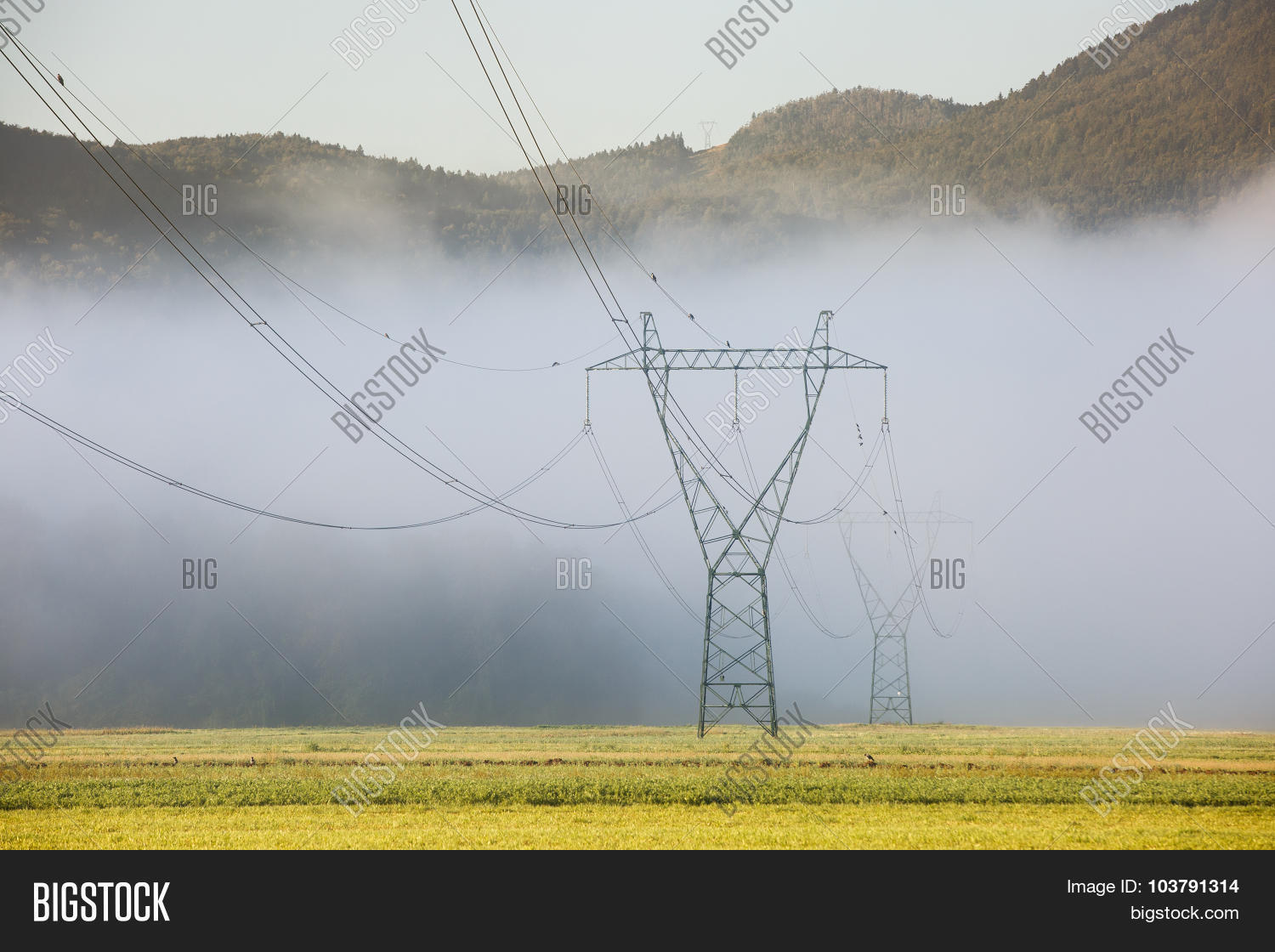 Big Electricity High Image & Photo (Free Trial) | Bigstock
