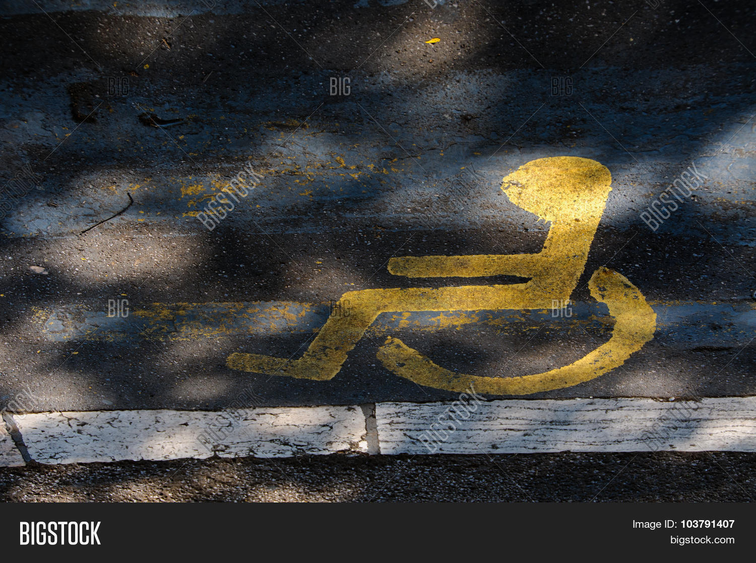 Handicap Symbol On Image & Photo (Free Trial) | Bigstock