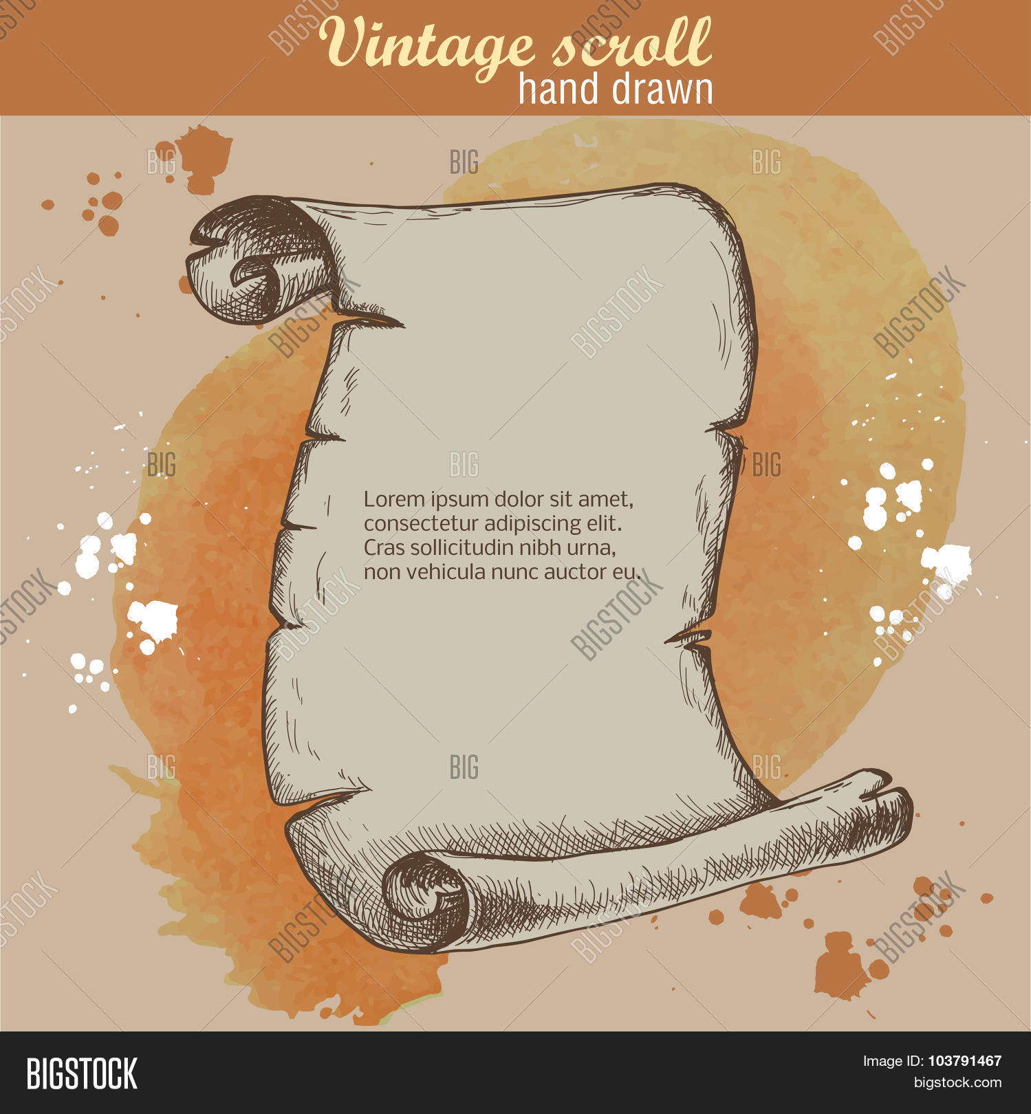Old Scroll Sketch Vector & Photo (Free Trial) | Bigstock
