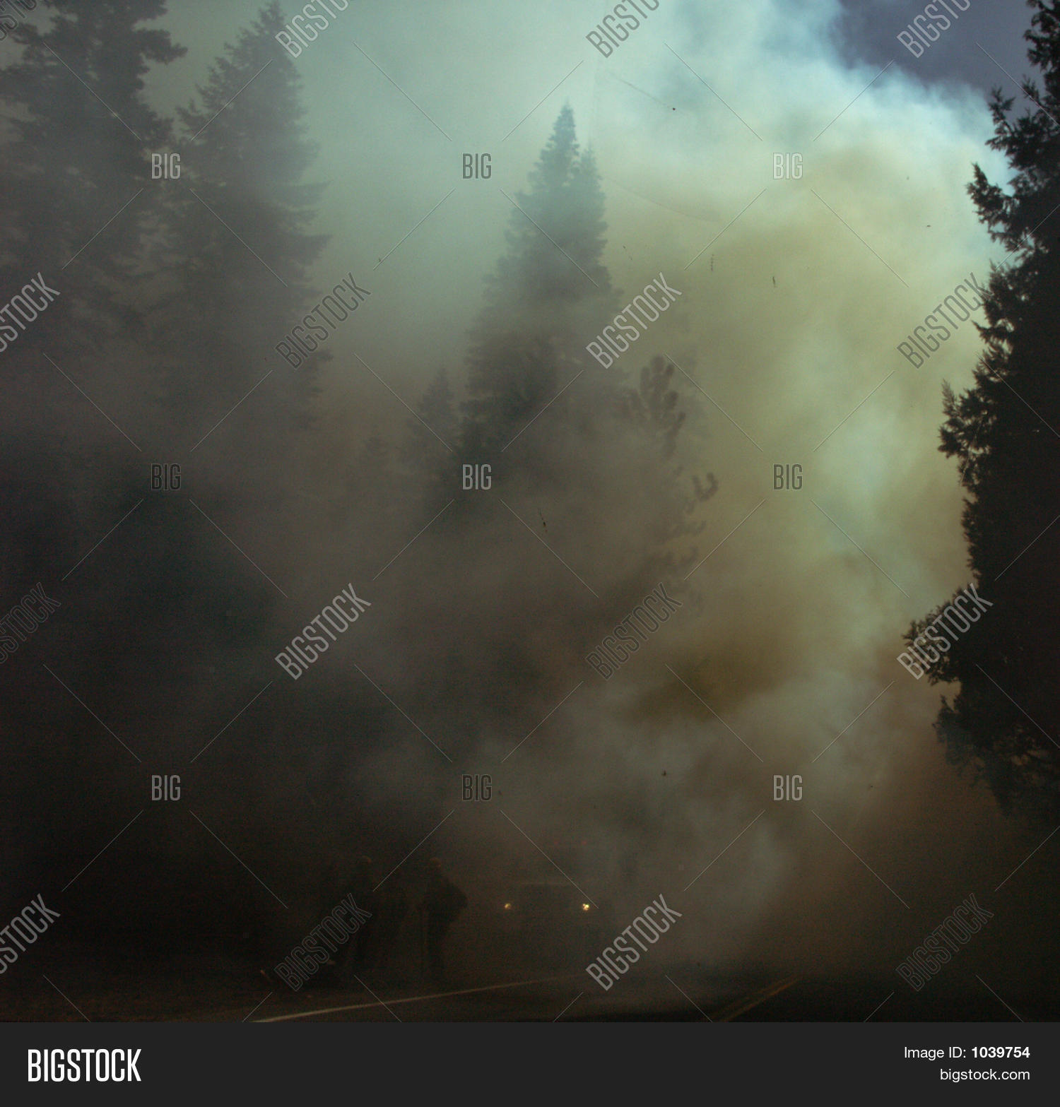 Forest Fire Image & Photo (Free Trial) | Bigstock