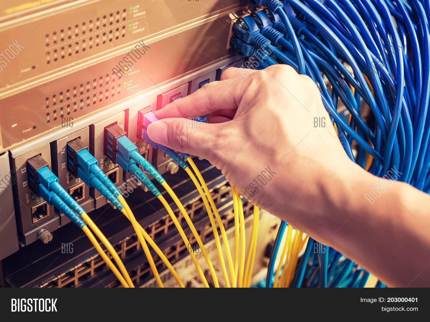 ภาพและภาพถ่าย (ทดลองใช้ฟรี) | Bigstock