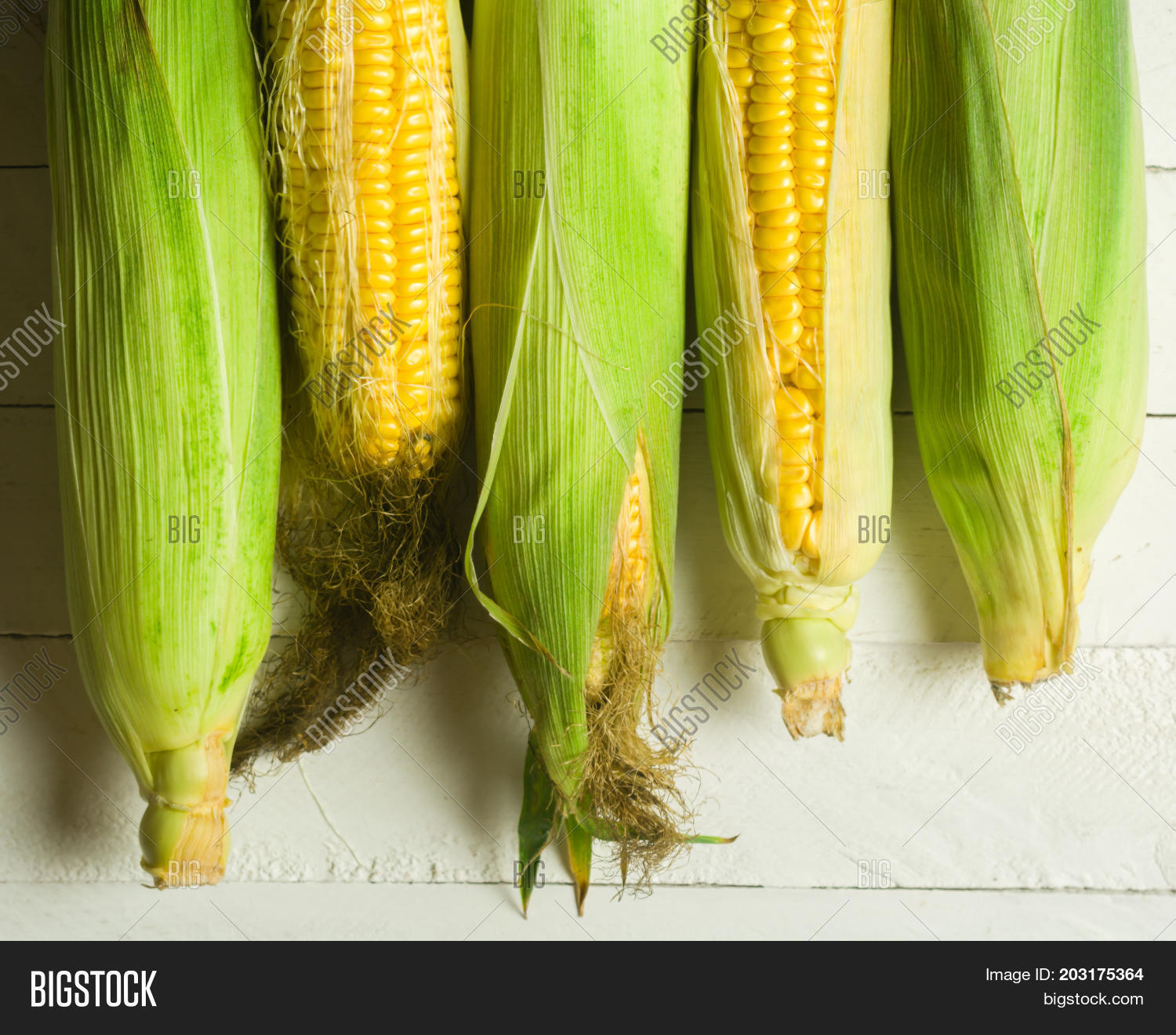 Corn Corn Leaves Image & Photo (Free Trial) | Bigstock