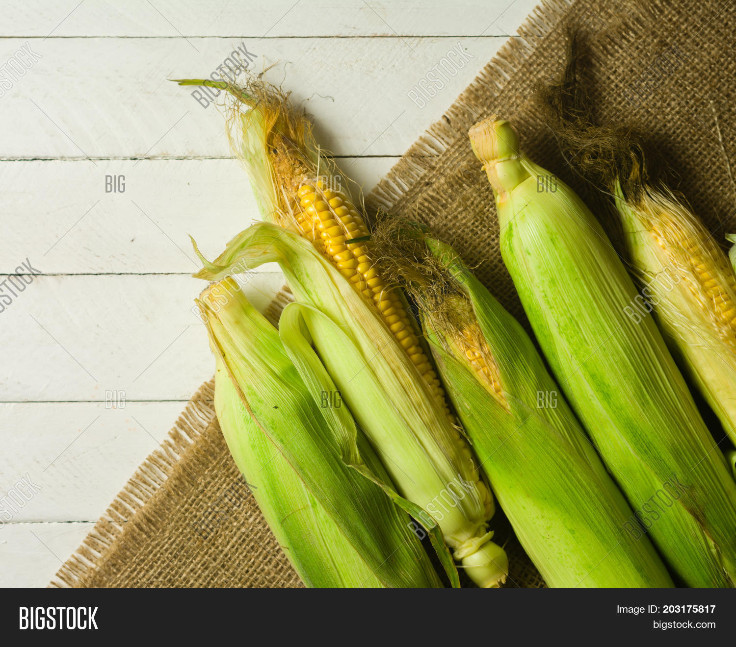 Corn Corn Leaves Image & Photo (Free Trial) | Bigstock