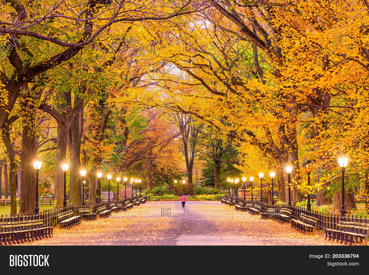 Central Park Mall New Image & Photo (Free Trial) | Bigstock