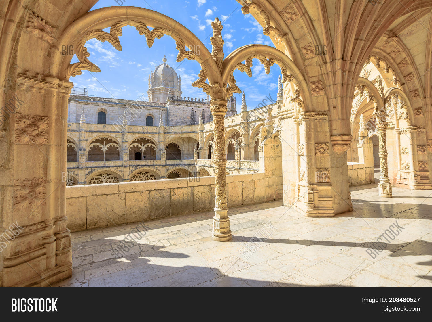 Beautiful Reticulated Image & Photo (Free Trial) | Bigstock