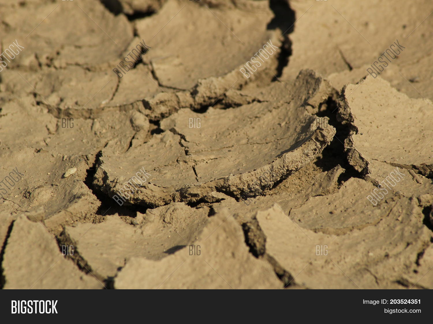 Parched Ground/This Image & Photo (Free Trial) | Bigstock