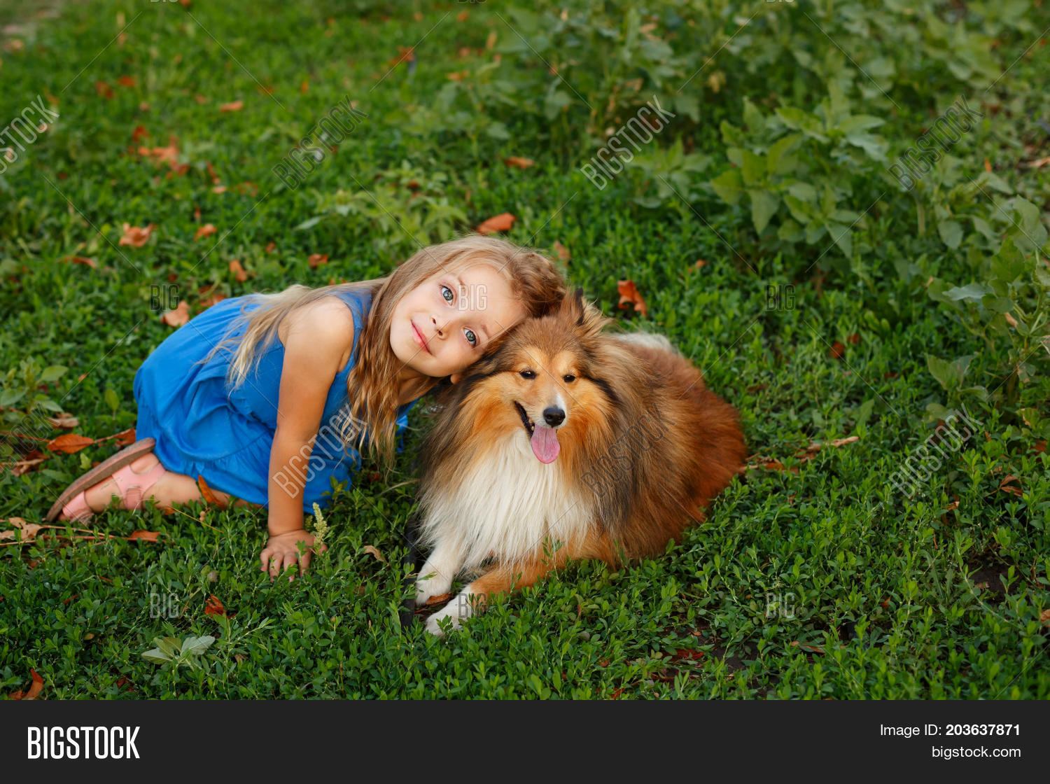 Cute Little Girl Dog Image & Photo (Free Trial) | Bigstock