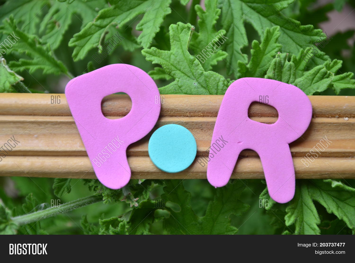 Word Pr On Abstract Image & Photo (Free Trial) | Bigstock