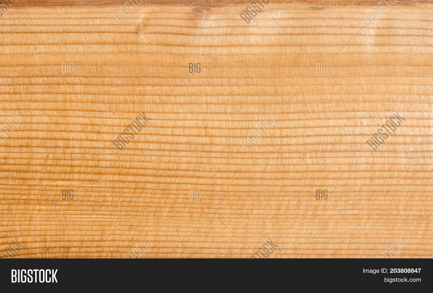 Larch Wood Knot Image & Photo (Free Trial) | Bigstock