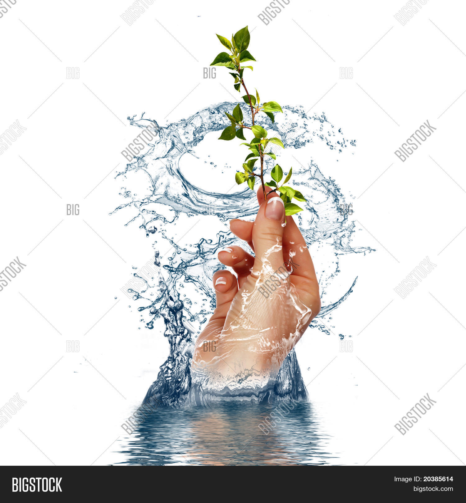 Young Sprout Human Image & Photo (Free Trial) | Bigstock