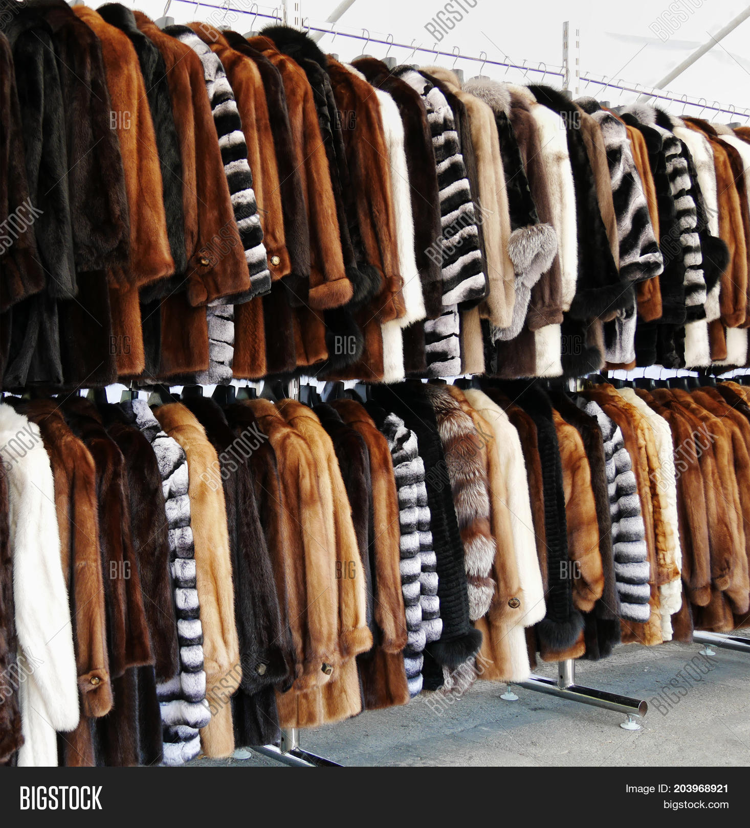 Luxury Fur Coats Image & Photo (Free Trial) | Bigstock
