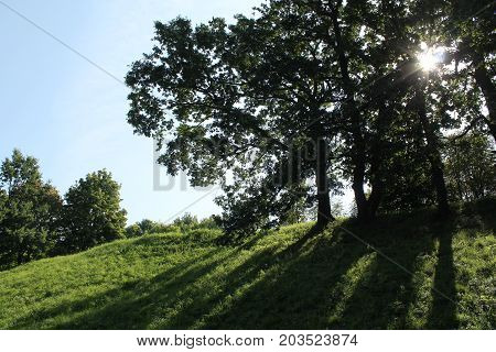 Midday Summer Image & Photo (Free Trial) | Bigstock