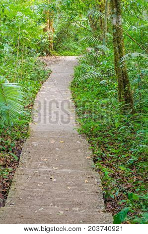 Walkway Lane Path Image & Photo (Free Trial) | Bigstock