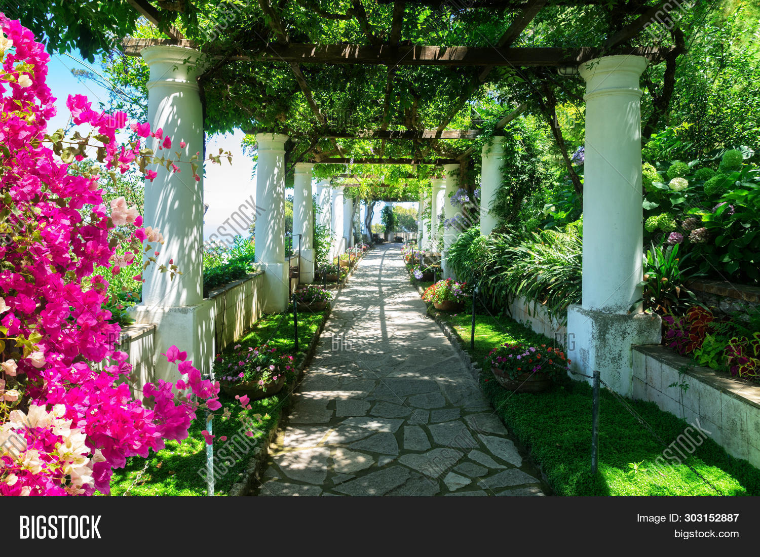 Beautiful Pathway Image & Photo (Free Trial) | Bigstock