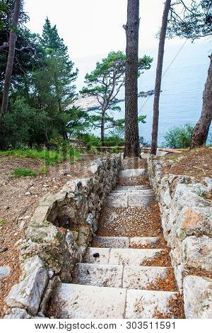 Beautiful Paths Gradac Image & Photo (Free Trial) | Bigstock