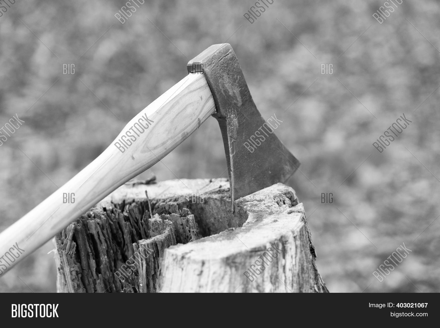 Large Splitting Axe Image & Photo (Free Trial) | Bigstock