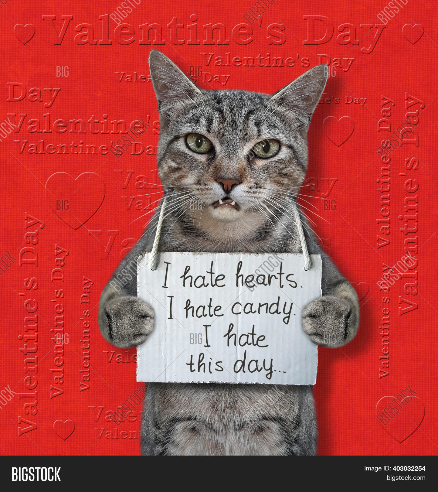 Loathe Cat