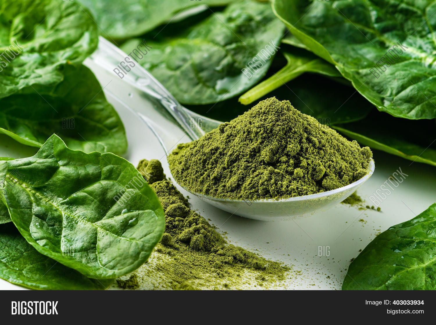 Dry Spinach Powder On Image & Photo (Free Trial) | Bigstock