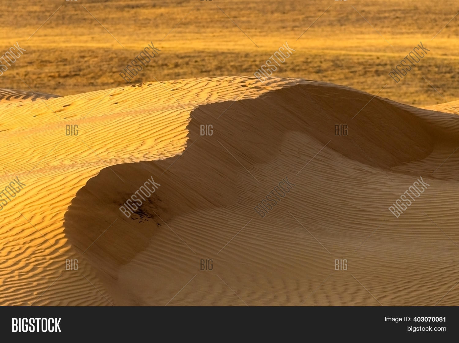 Huge Dunes Desert. Image & Photo (Free Trial) | Bigstock