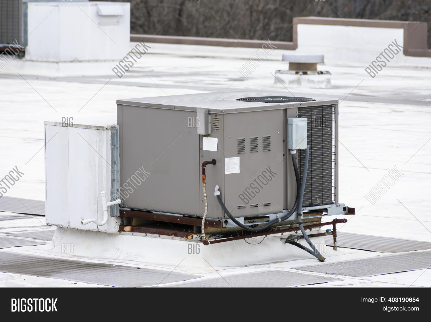 Horizontal Shot Image & Photo (Free Trial) | Bigstock