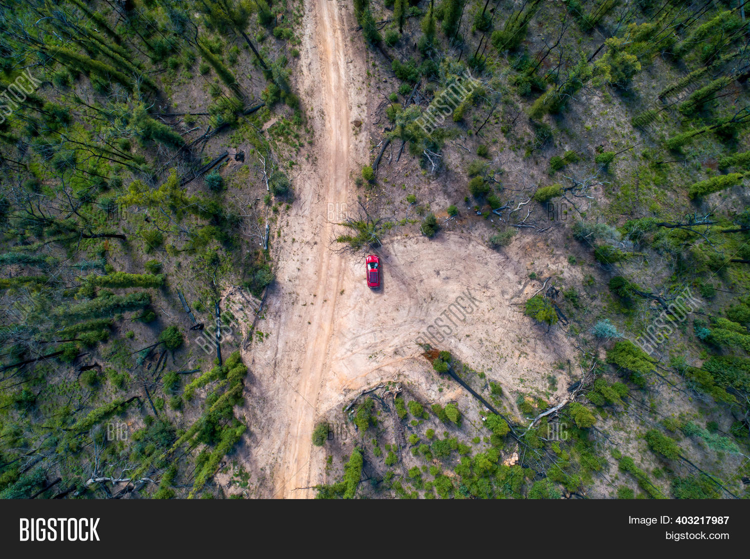 Looking Down Red Car Image & Photo (Free Trial) | Bigstock