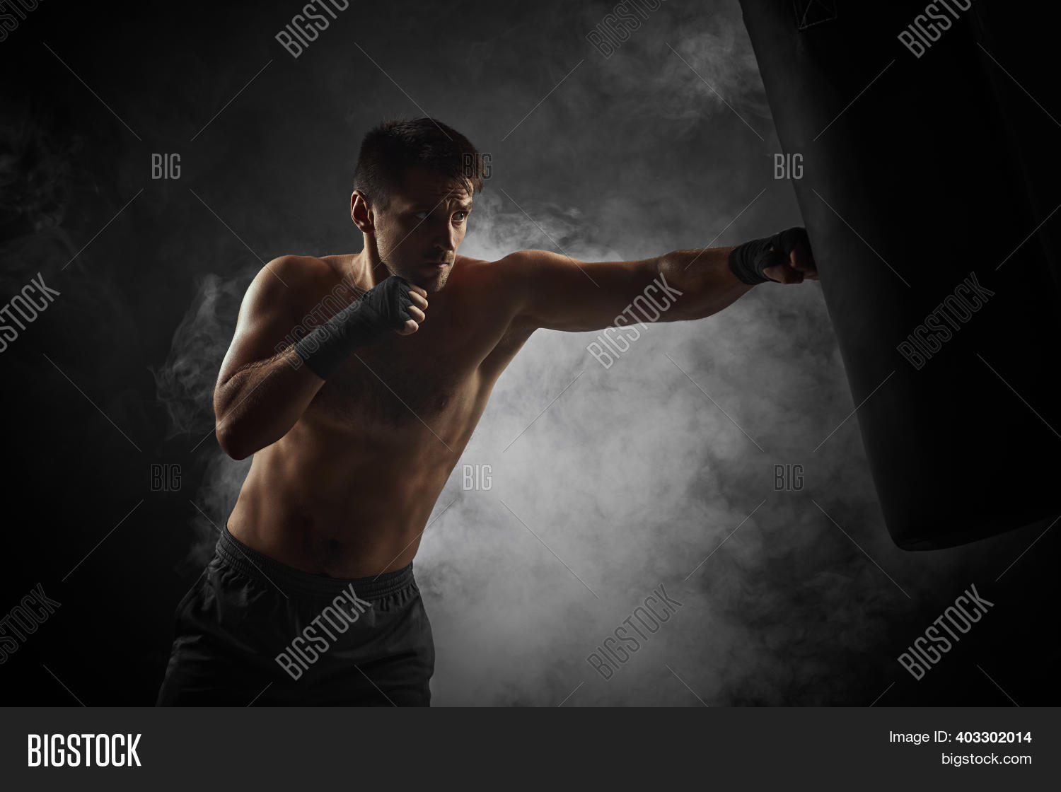 Aggressive Boxer Black Image & Photo (Free Trial) | Bigstock