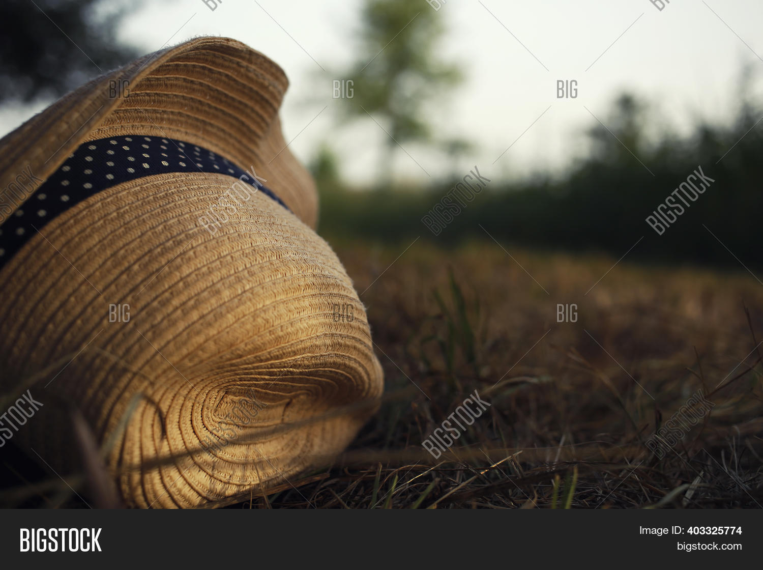 Summer Straw Hat Blue Image & Photo (Free Trial) | Bigstock