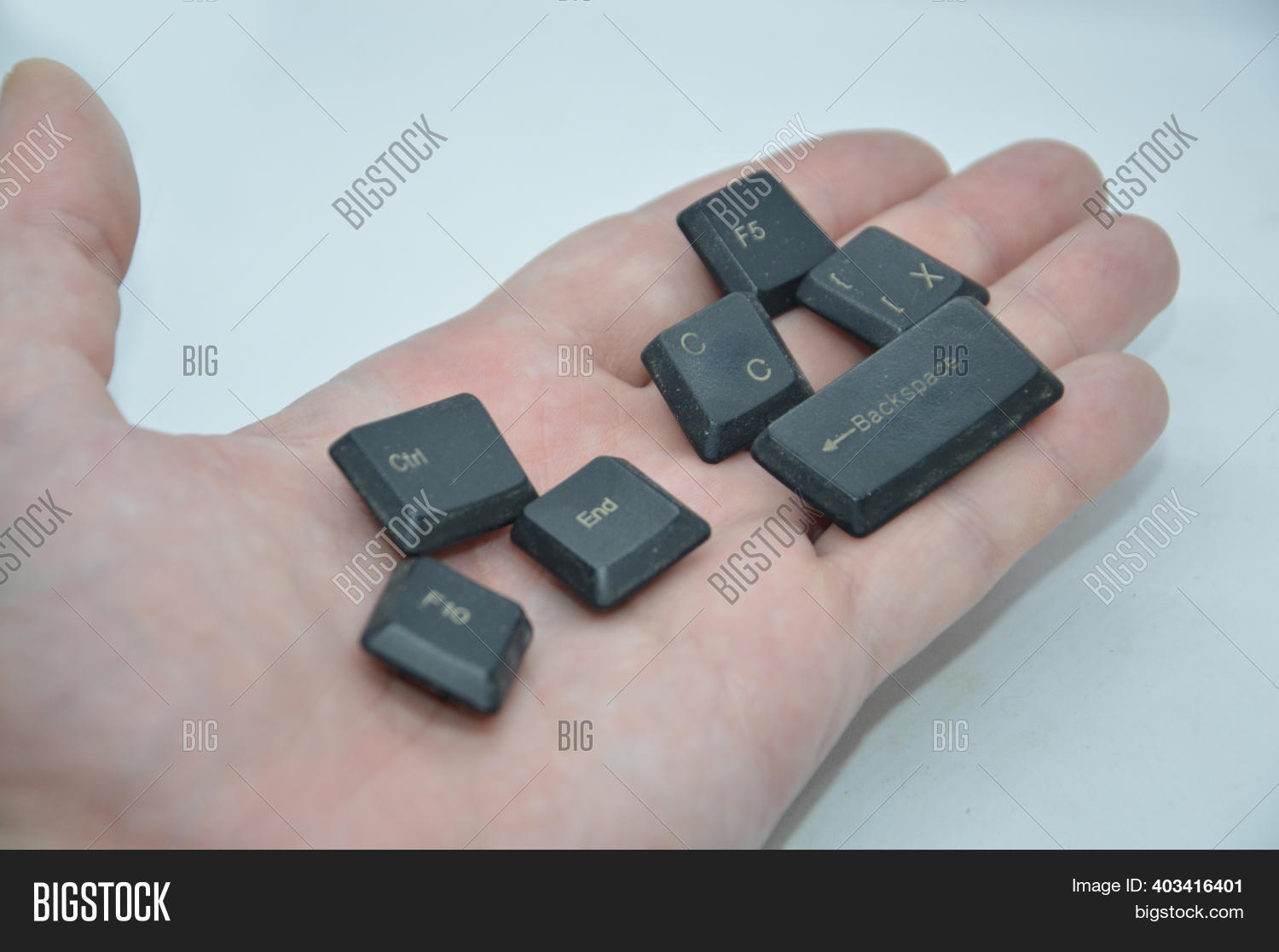 Various Combination Image & Photo (Free Trial) | Bigstock