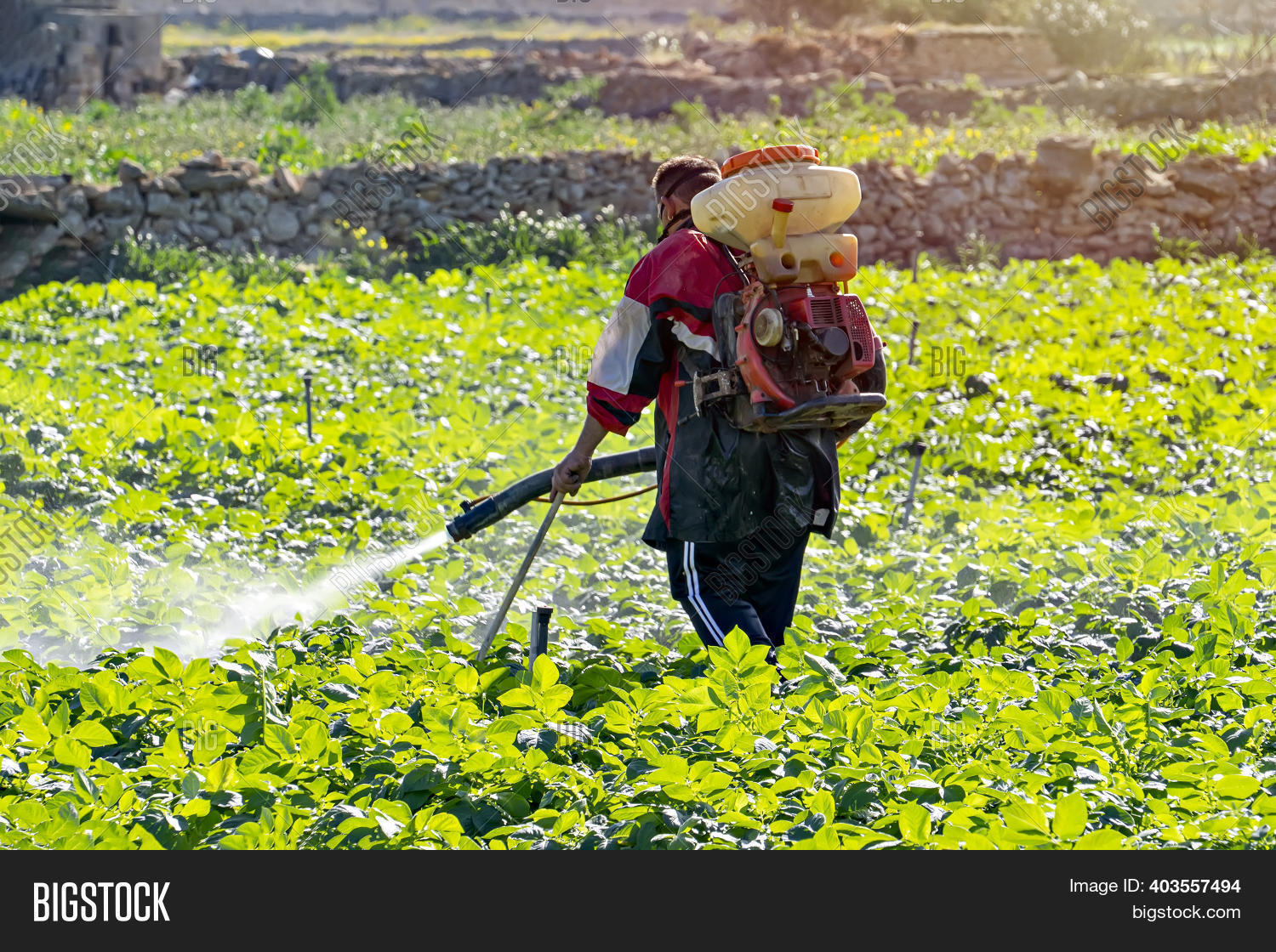 Farmer Manual Electric Image & Photo (Free Trial) | Bigstock